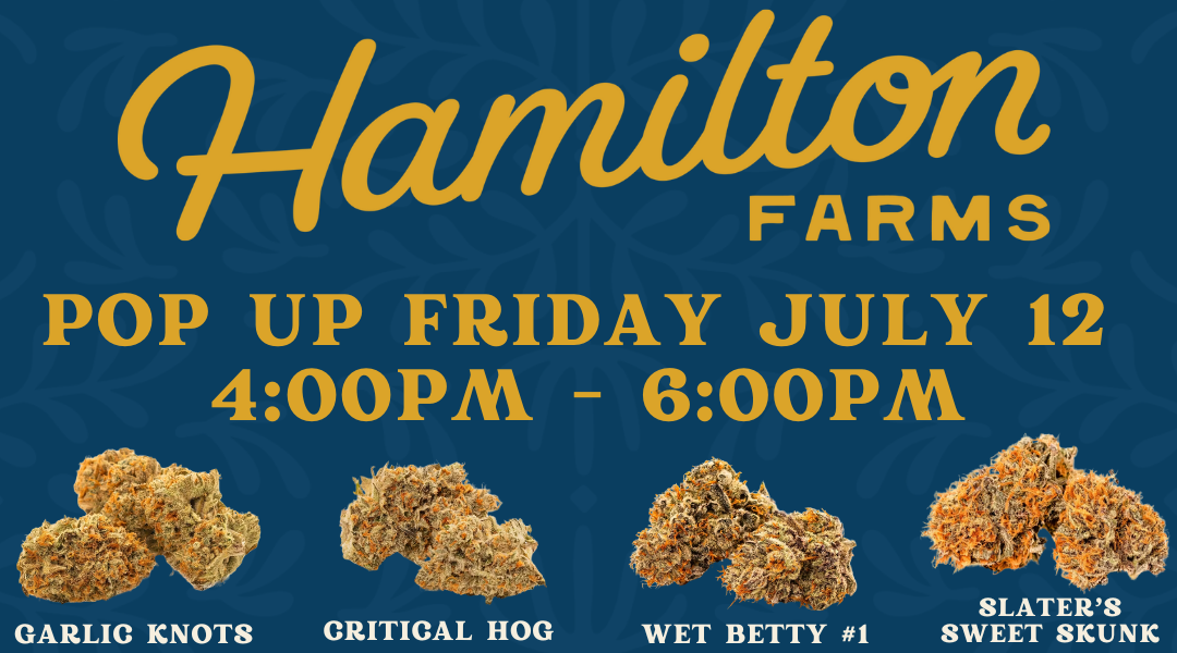 Events at our Merchantville Dispensary | Gynsyng